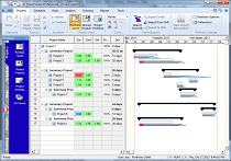 RiskyProject Enterprise - Project and Portfolio Risk Management Software