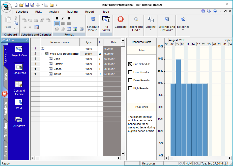 RiskyProject project risk analysis and management software workflow