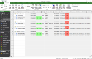 RiskyProject Enterprise - Project and Portfolio Risk Management Software
